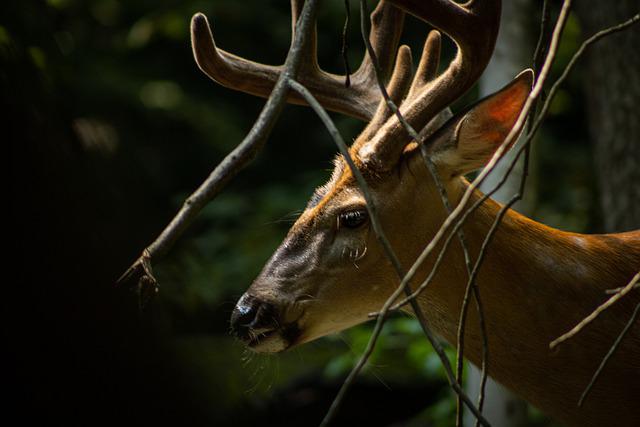 New Proposal Would Provide More Flexibility Regarding the Format of ...